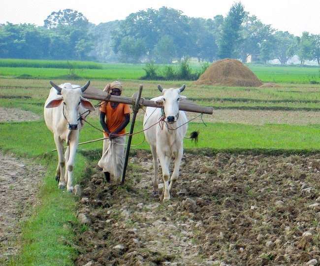 हरियाणा में परंपरागत खेती करने वाले किसानों को तोहफा, टैंक बनाना चाहते ...