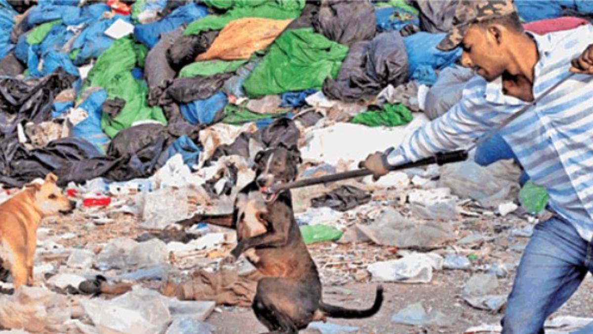 Delhi Dog Attack: भाइयों के शरीर पर थे एक जैसे काटने के निशान, गले की ...