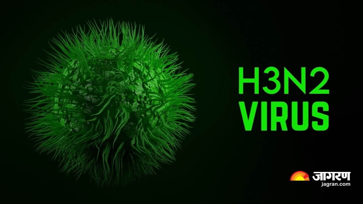 H3N2 Virus: H3N2 इन्फ्लूएंजा वायरस से गुजरात में पहली मौत, वडोदरा में ...