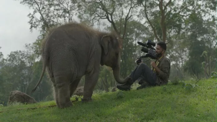 The Elephant Whisperers: ऑस्‍कर में छाए उत्‍तराखंड के करन थपलियाल, कहा ...
