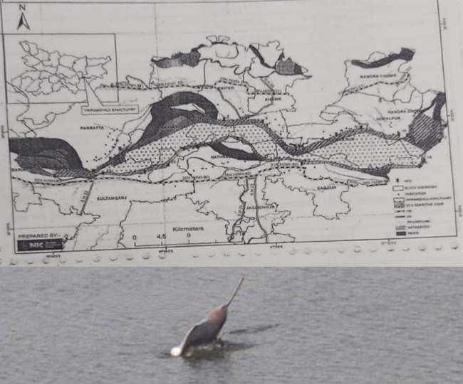 तीन दशक बाद भी नहीं बन पाया विक्रमशिला गांगेय डॉल्फिन आश्रयणी ...