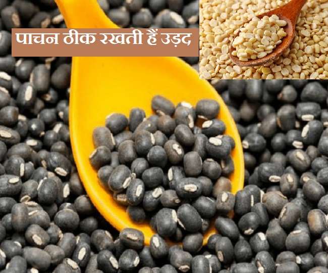 Urad Dal Benefits: डायबिटीज कंट्रोल करने के साथ ही हड्डियां भी मजबूत ...