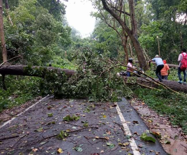 Storm in Bahraich कतर्नियाघाट जंगल इलाके में तूफान से भारी तबाही ...