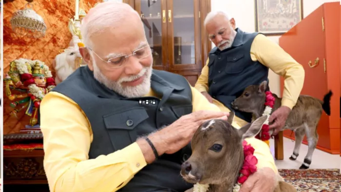 पीएम मोदी के घर आया बेहद खास मेहमान, नाम रखा दीपज्योति; देखें VIDEO ...