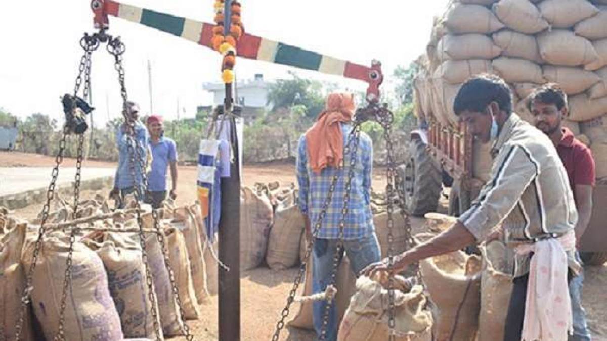 Paddy Purchase In UP: किसानों से 73 लाख टन धान खरीदेगी सरकार, प्रदेश ...