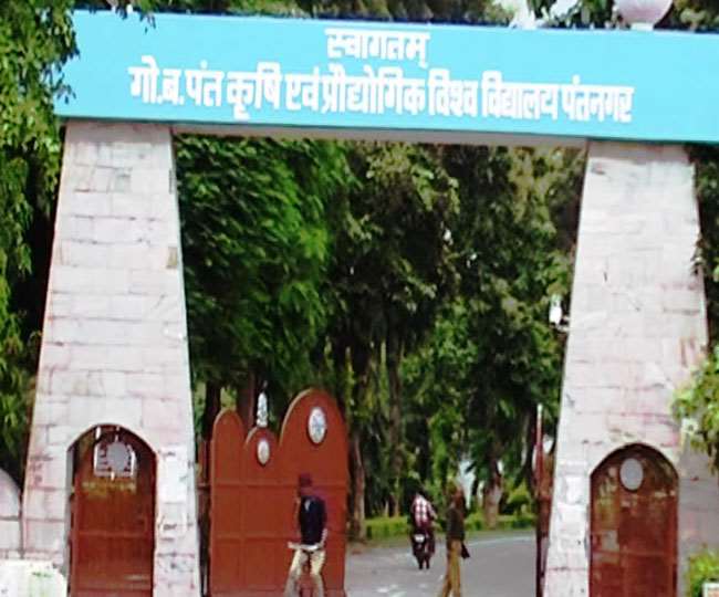 जीबी पंत विश्वविद्यालय में छात्रा से उत्पीड़न पर गवर्नर ने दिए जांच के ...