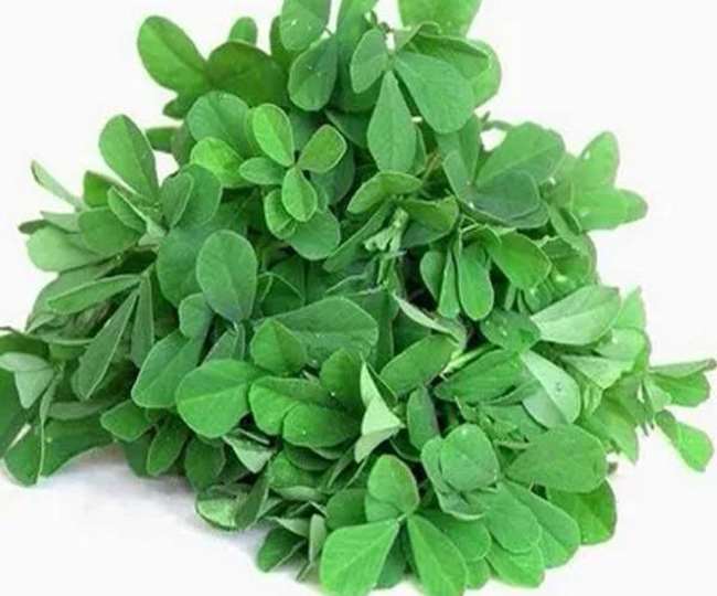 Benefits of Methi Saag : सर्दियों में खूब खाएं मेथी का साग, कई भयंकर ... Benefits of Methi Saag : सर्दियों में खूब खाएं मेथी का साग, कई भयंकर ...