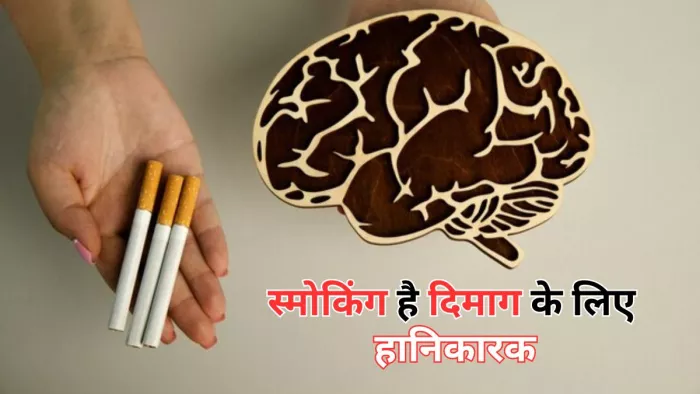 Smoking and Brain Shrinkage: फेफड़े ही नहीं दिमाग के लिए भी हानिकारक है ...