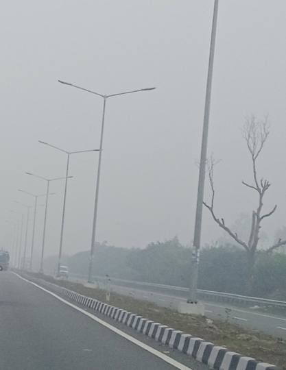 काठगढ़ में धुंध व ठंड से दिनचर्या प्रभावित - The harsh cold, fog and ...