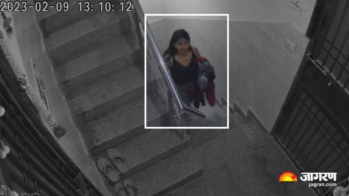 Nikki Murder Case: निक्की की हत्या से ठीक पहले का Video, श्रद्धा मर्डर ...