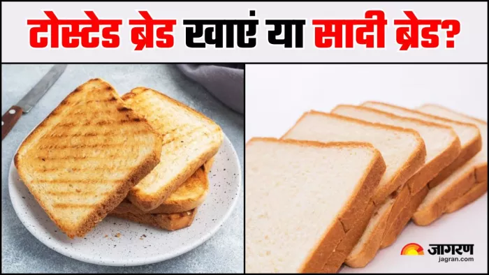 टोस्टेड ब्रेड या सादी ब्रेड: सेहत के लिहाज से किसे खाना है ज्यादा फायदेमंद, एक क्लिक में समझें ...