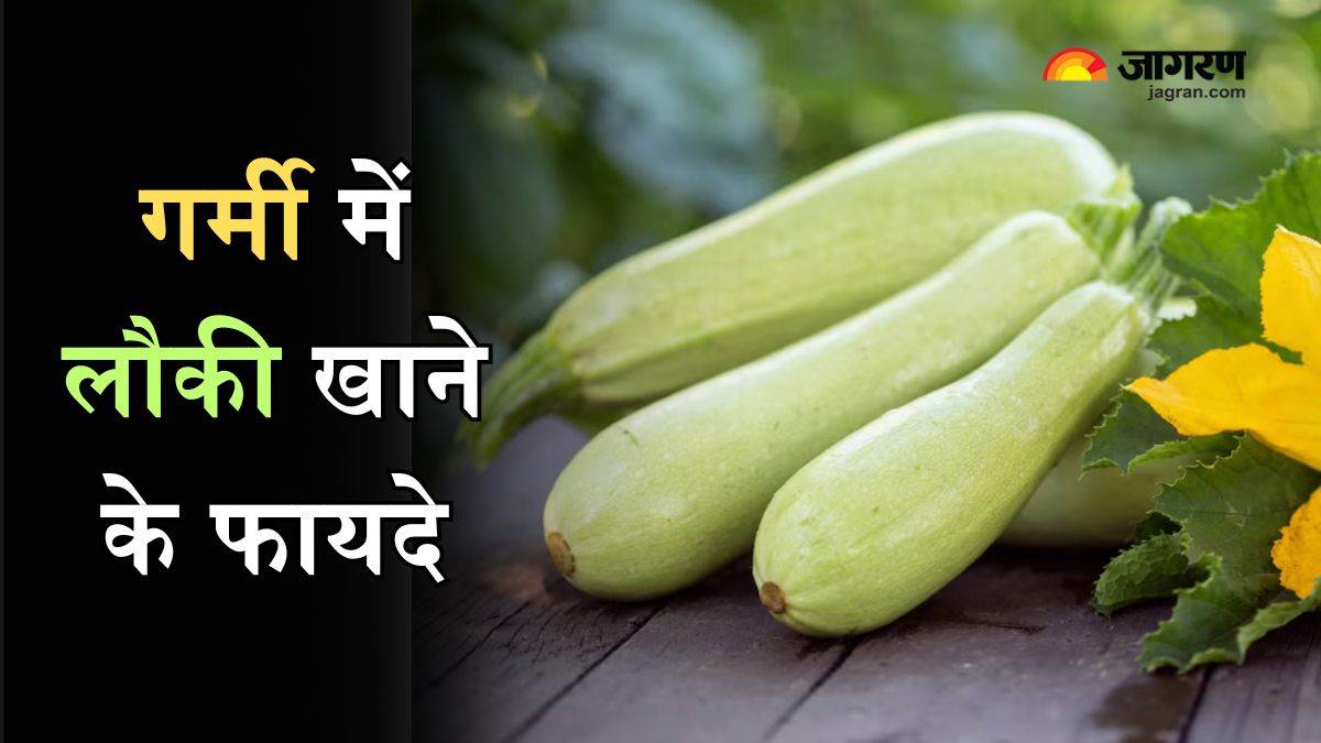 Lauki ke Benefits: अगर आप भी लौकी खाने के नाम से बनाते हैं मुंह, तो जान ...
