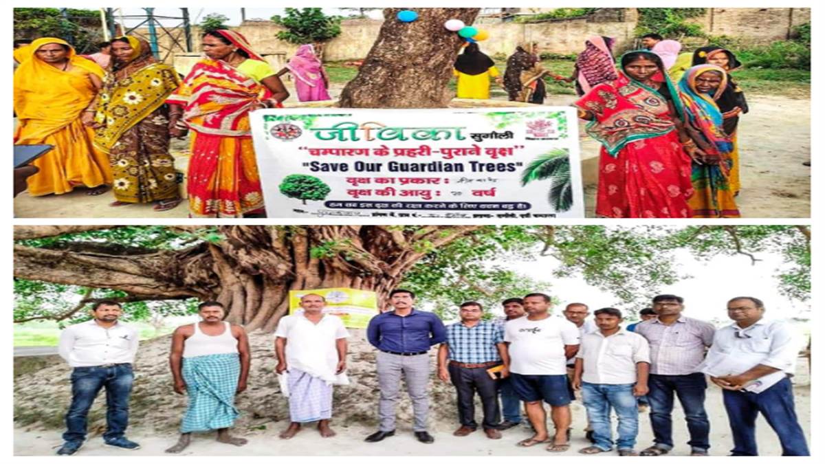 East Champaran news : गार्जियंस ऑफ चम्पारण अभियान के तहत 12 हजार ...