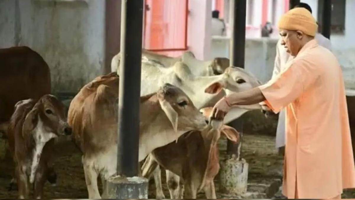 योगी सरकार ने दुग्ध उत्पादन को बढ़ावा देने के लिए शुरू किया 'नंद बाबा ...