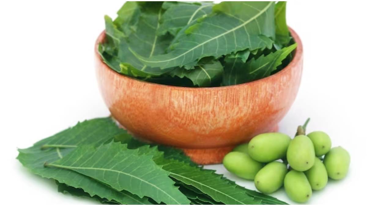 Neema Juice Benefits: कड़वा जरूर है नीम का जूस, लेकिन देता है हैरान कर ...