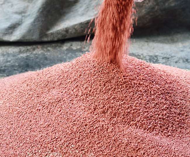 Potash: राजस्थान में मिले पोटाश के भंडार, कनाड़ा और जर्मनी की तर्ज पर ...