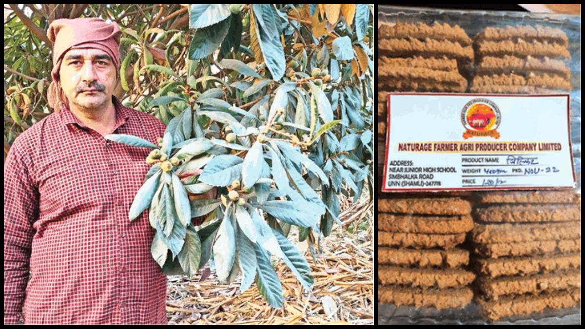 Shamli: मोटे अनाज और काले गेहूं से बिस्कुट बनाकर मोटी कमाई कर रहे हैं ...