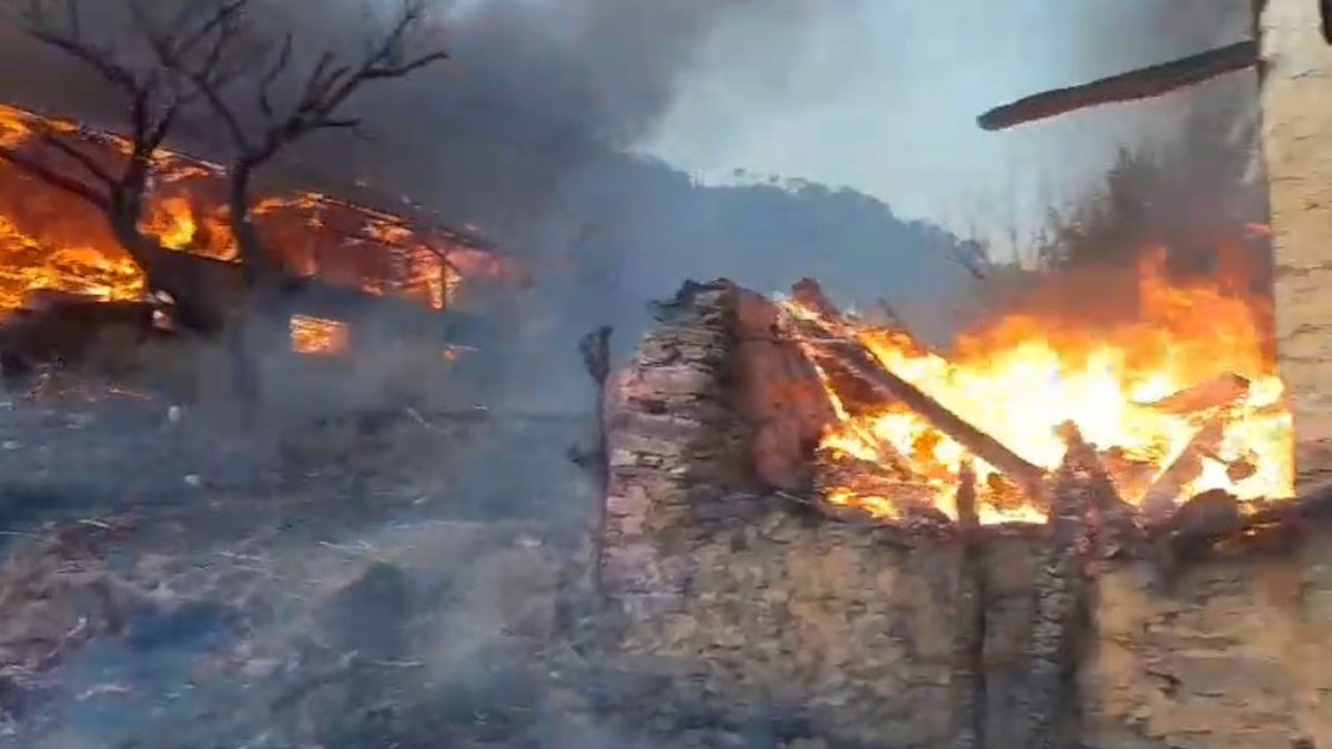 Uttarakhand में विकराल हुई जंगलों की आग, आबादी तक पहुंची; तीन घर खाक ...