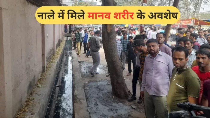 Noida: नाले की सफाई के दौरान मिले महिला के कटे हाथ और पैर, मानव शरीर के अंग मिलने से इलाके में ...