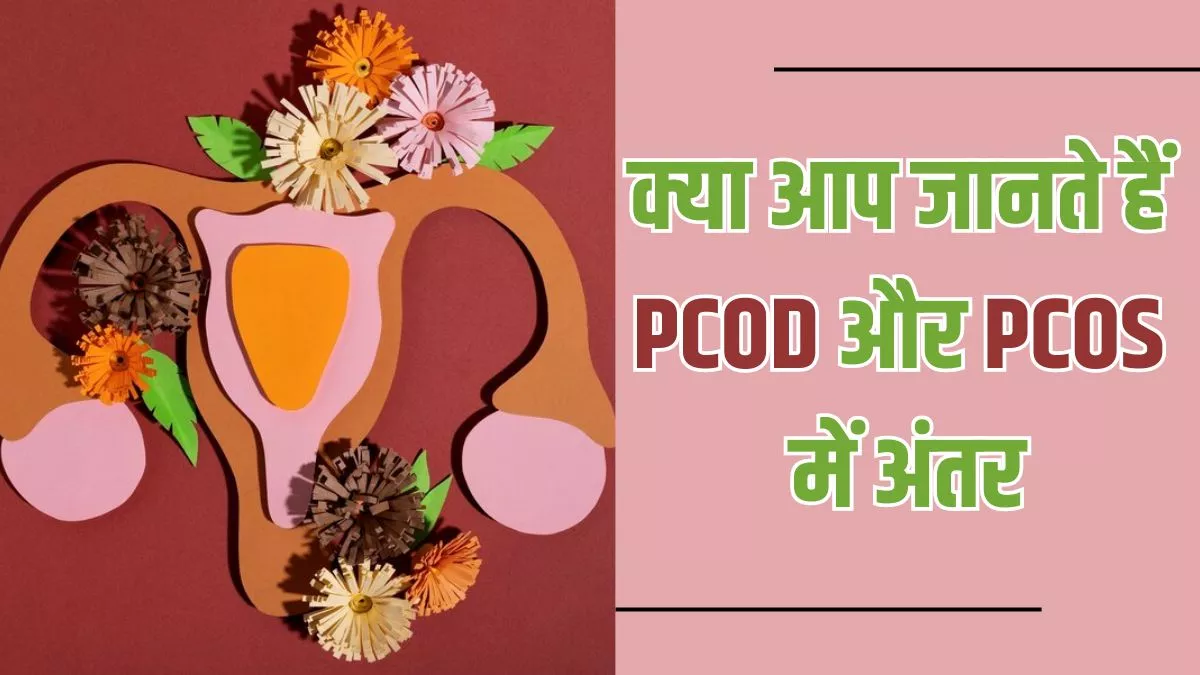 क्या आप भी PCOD और PCOS को समझते हैं एक, तो एक्सपर्ट से जानें क्या है दोनों में अंतर - what is ...