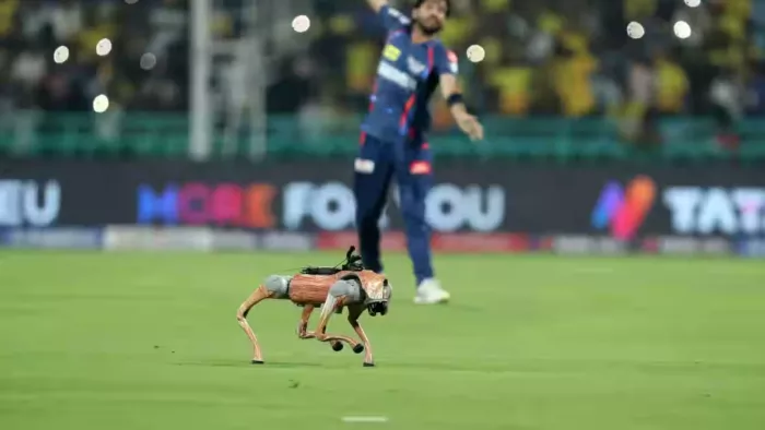 IPL 2025 में धूम मचा रहा यह नया स्‍टार, फैंस के बीच हो रही रोबोटिक डॉग ...