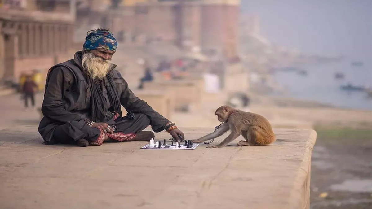 Monkey Man of Varanasi : अस्‍सी घाट पर बंदरिया संग शतरंज की बाजी लगाने ...