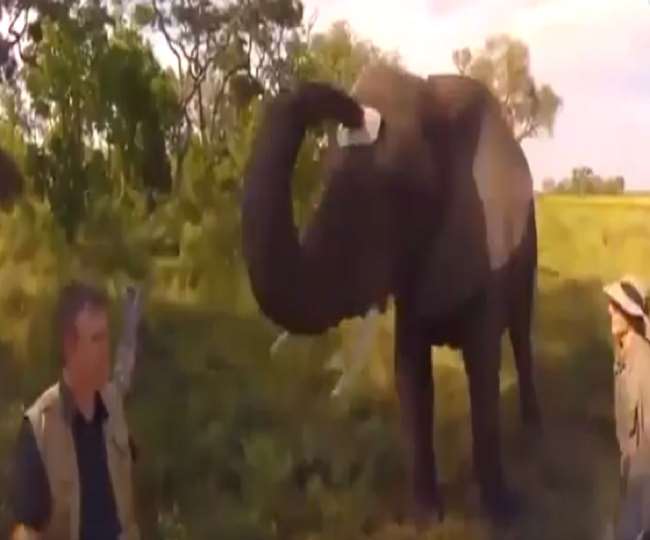 हाथी ने फोटोग्राफर के साथ की मस्ती और पहनी उनकी टोपी, वीडियो देख हो ...