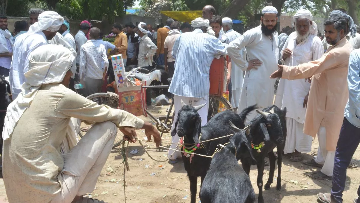 Bakra Eid 2024: यकीन नहीं करेंगे, कुर्बानी के लिए इतने महंगे बिके बकरे ...