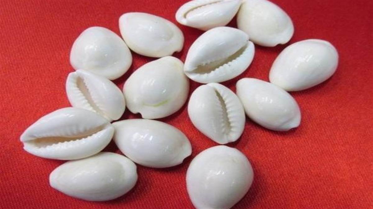 Kaudi Mata Temple: देवी के भोग से लेकर स्नान में शामिल है कौड़ी, बाबा ...