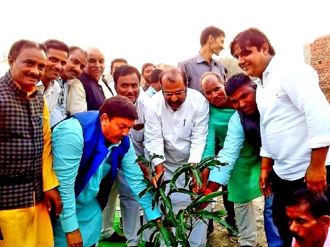 मंत्रियों ने किया पौधारोपण, दिया पर्यावरण संरक्षण का संदेश - tree ...
