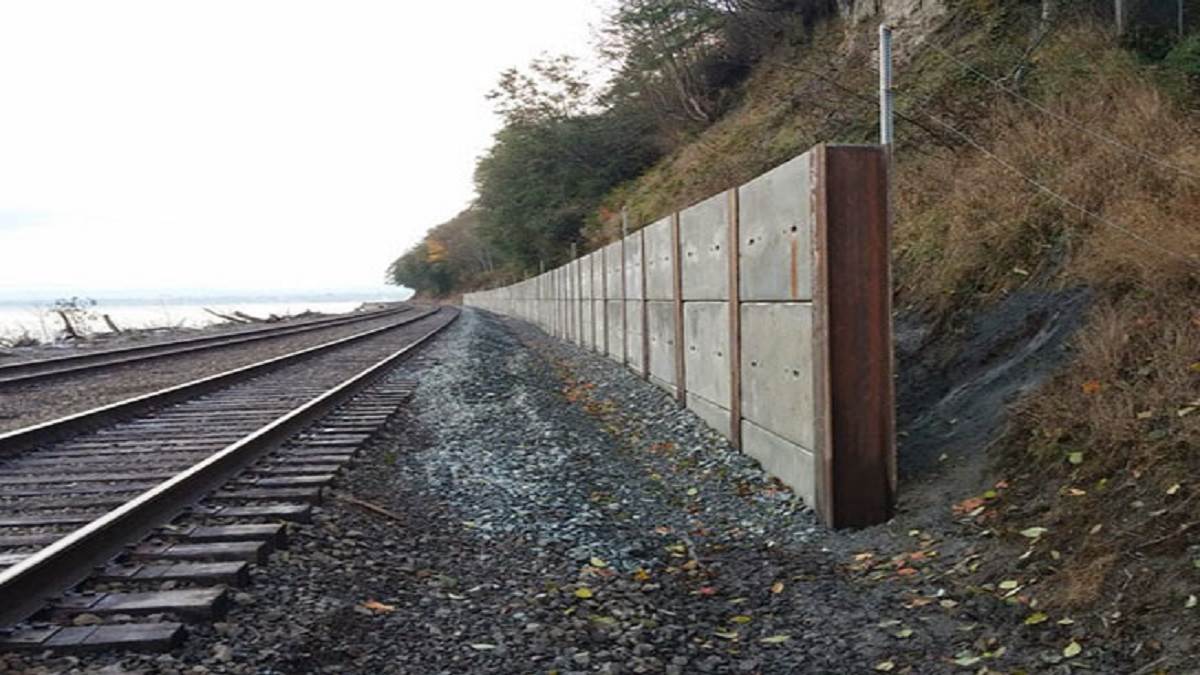 पशुओं के कारण ट्रेन हादसे को रोकने के लिए बनेगी विशेष तरह की सुरक्षा ...