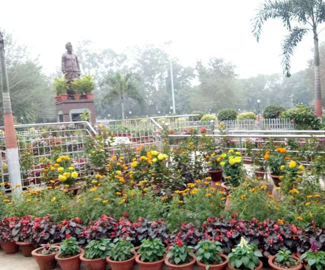 मौसमी फूलों से बढ़ी पटना के पार्कों की खूबसूरती, धूप खिलने पर बढ़ जाएगा ...