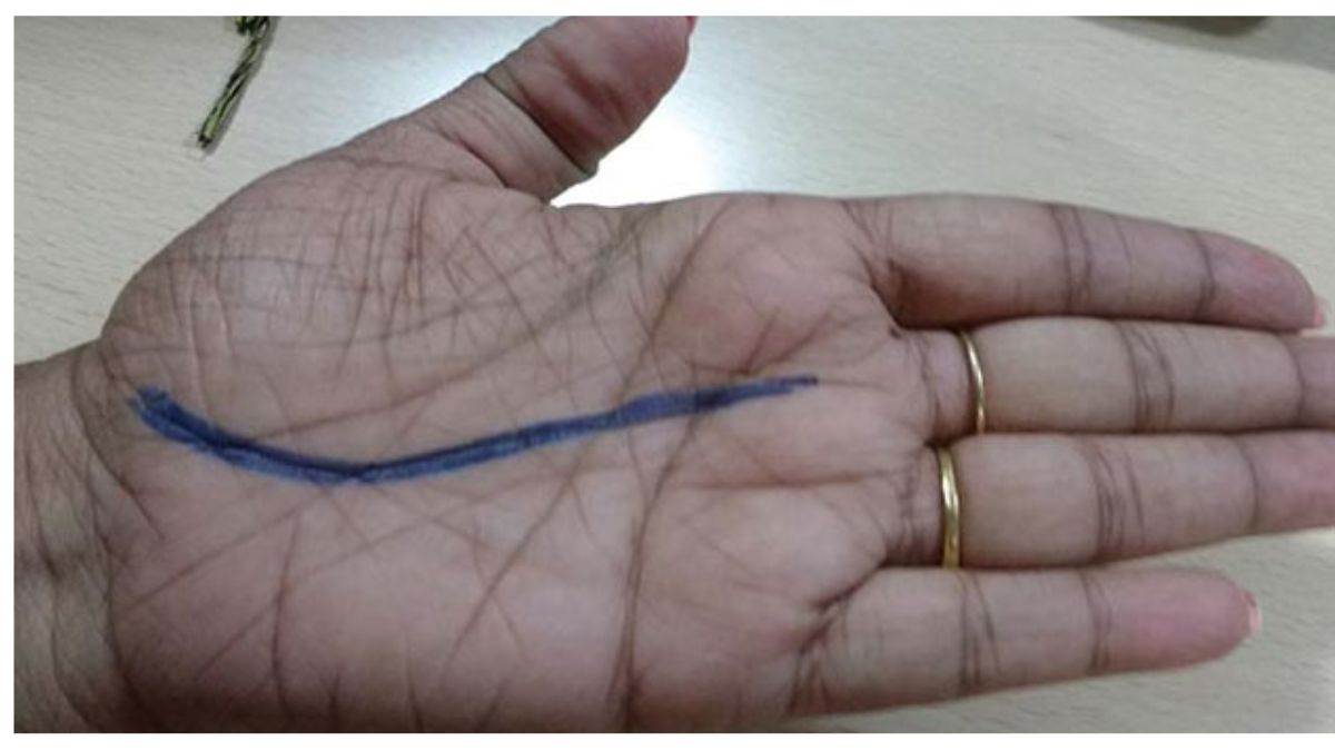 Palmistry: कम दिखती है यह रेखाएं पर डालती हैं जीवन पर गहरा प्रभाव ...