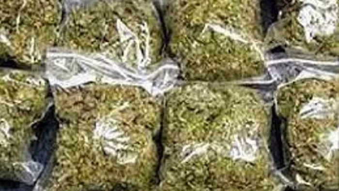 Motihari News: 'टैंकर में गांजा...कोड में धंधा, इशारों में डिलीवरी ...