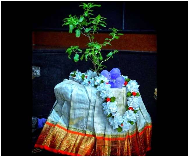 Vastu Tips For Tulsi भूलकर भी इस दिशा में ना रखें तुलसी का पौधा जानिए सही दिशा और कुछ नियम