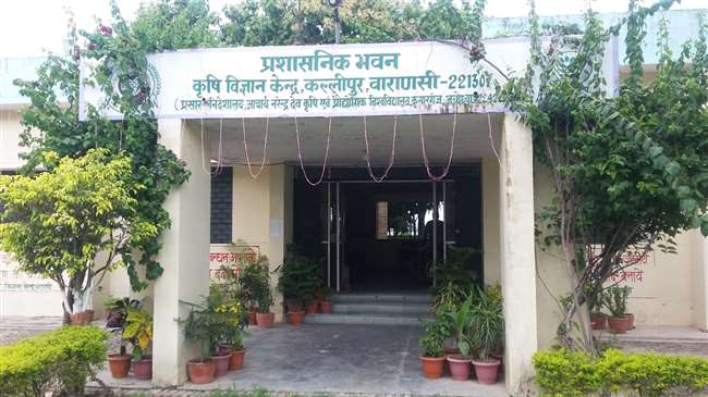Varanasi Krishi Vigyan Kendra : किसानों को आधुनिक तकनीकी जानकारी देकर ...