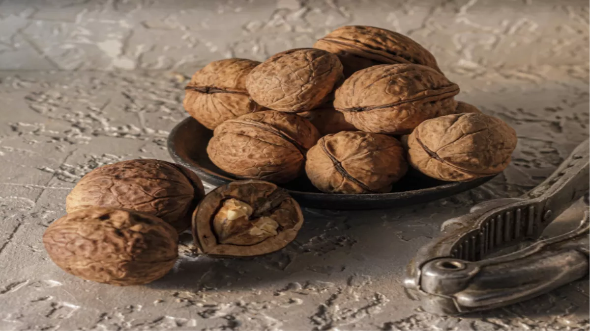 National Walnut Day 2022: डॉक्टर के पास जाए बगैर करें सेहत और बालों से ...