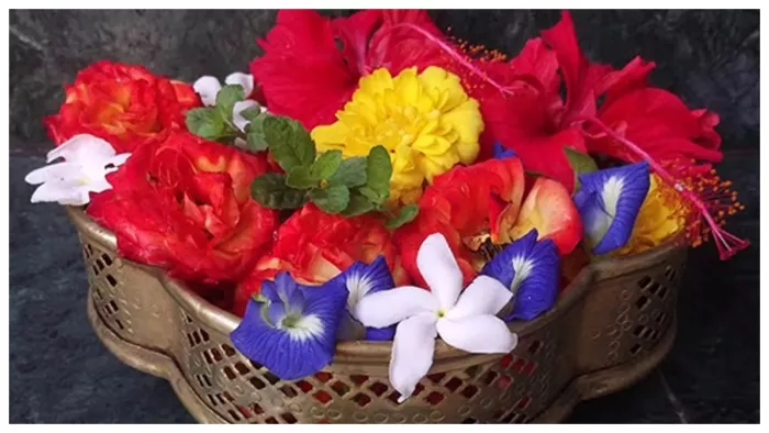 Puja Pat Rules: पूजा के समय किस भगवान को कौन-सा फूल अर्पित करने से मिलता है विशेष लाभ, यहां जाने ...