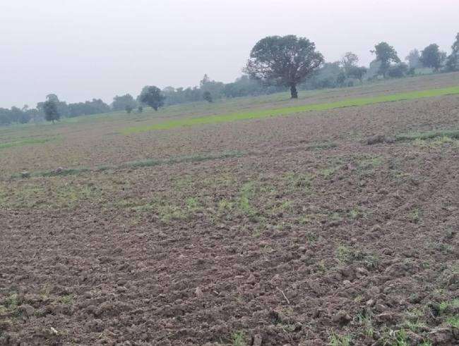 Bihar Land Survey बिहार में 130 नए अंचलों तक बढ़ा भूमि सर्वेक्षण का ...