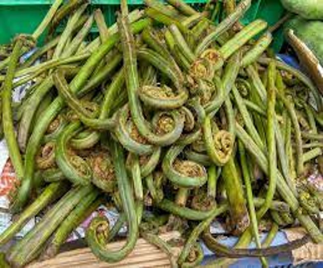 PM Modi Dharmshala Visit : धर्मशाला में प्रधानमंत्री नरेन्द्र मोदी ने ...