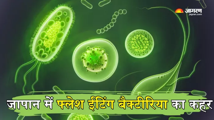 STSS in Japan: जापान में बरपा Flesh Eating Bacteria का कहर, इलाज न होने ...