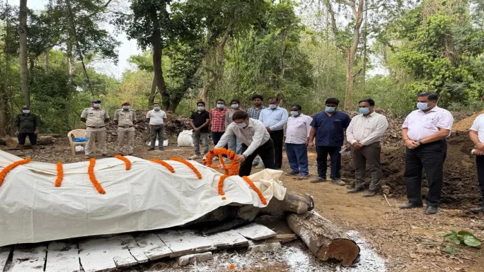 पटना जू में 10 बच्चों के पिता अयोध्या नाम के गैंडे की मौत, 15 दिनों में ...