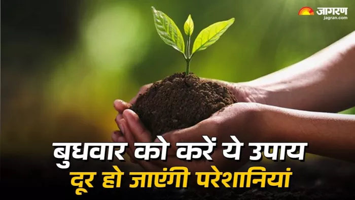 Budh Grah Remedies: फैसले लेने में होती है दिक्कत, बिजनेस में नहीं हो ...