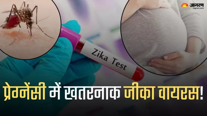 प्रेग्नेंसी में खतरनाक साबित हो सकता है Zika Virus, डॉक्टर ने बताए इसके ...