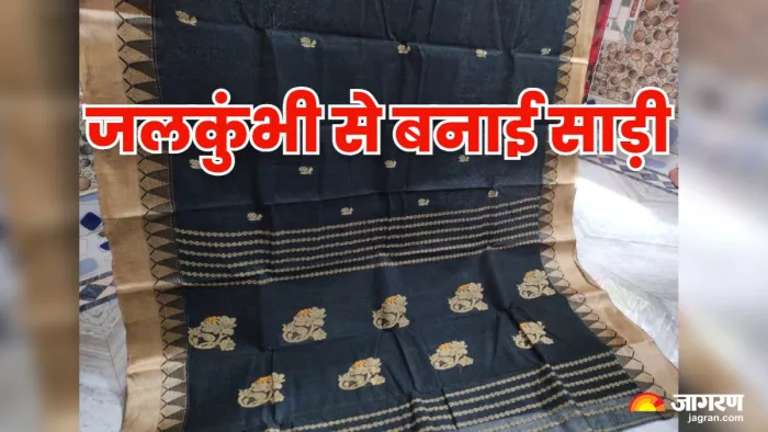 जमशेदपुर : नौकरी छोड़कर नवाचार से जलकुंभी के कचरे को बना दिया मूल्यवान ...