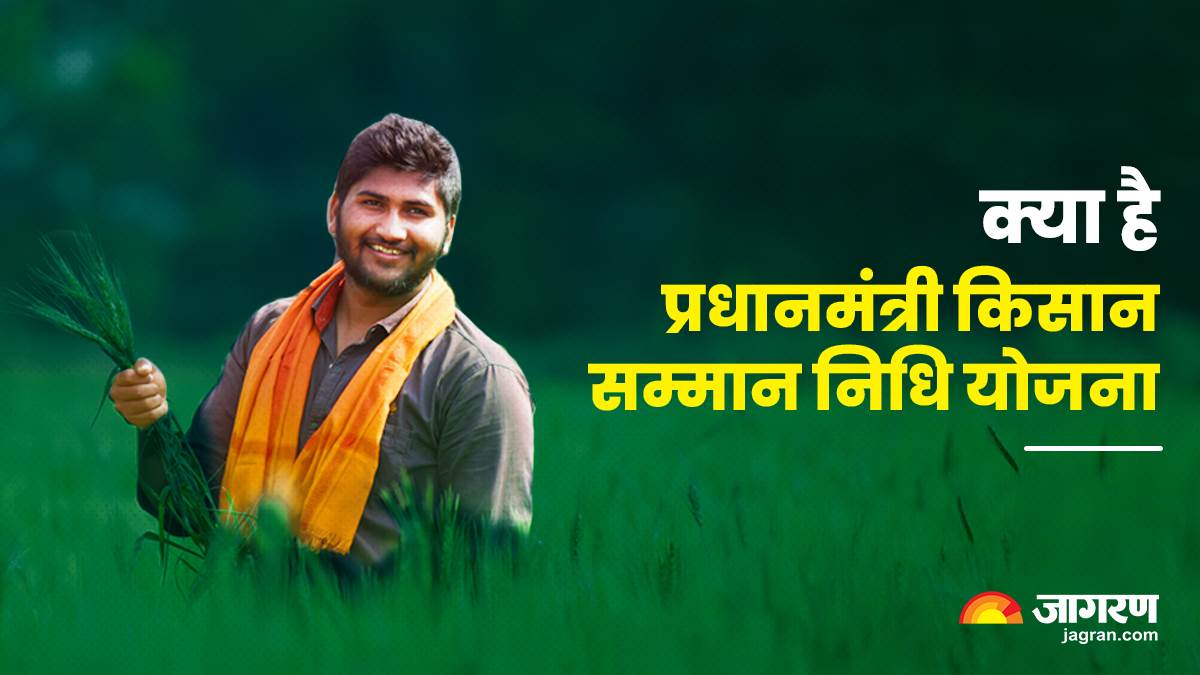 PM Kissan Yojna: क्या है प्रधानमंत्री किसान सम्मान निधि योजना, यहां ...