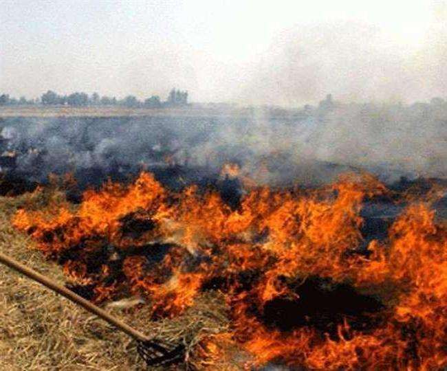 जालंधर के इस इलाके में जलाई गई सबसे अधिक पराली, सैटेलाइट में कैद हुई ...