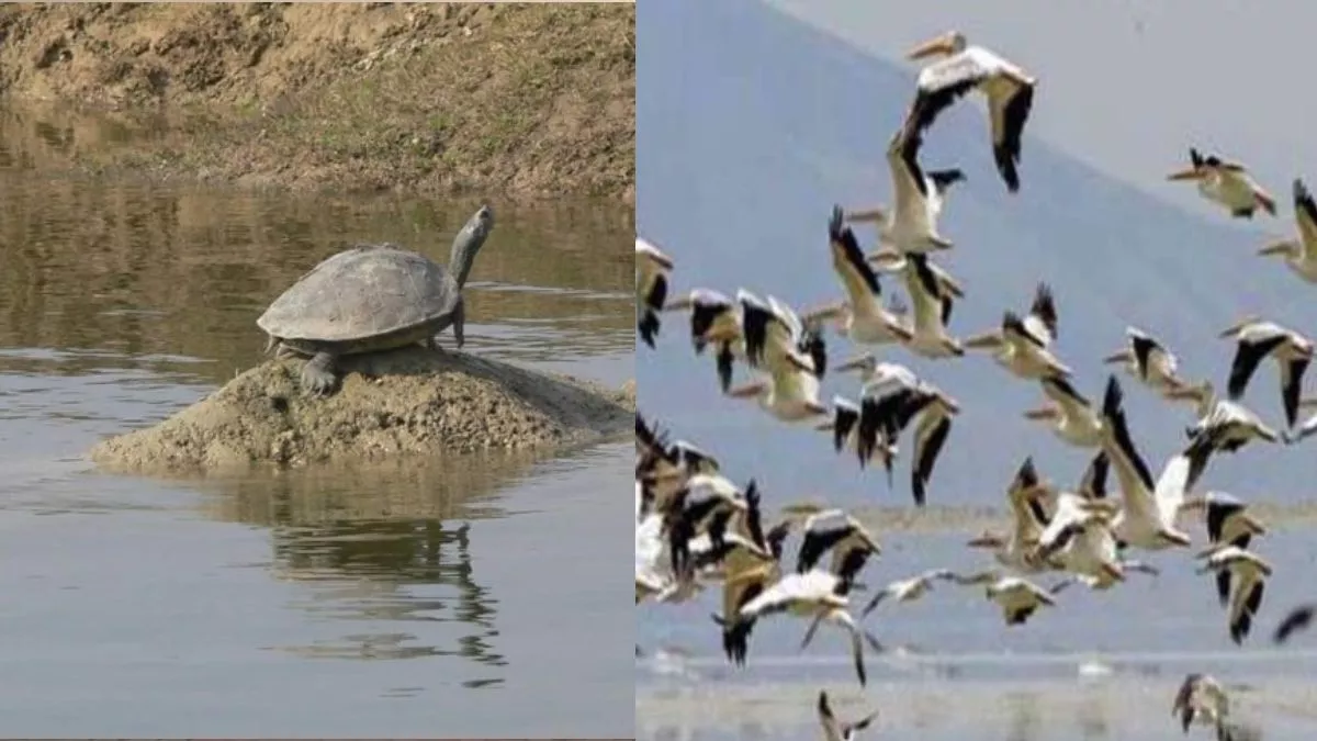 UP Tourism Policy: ईको टूरिज्म को ब्रांडिंग और प्रमोशन की जरूरत, रोजगार ...