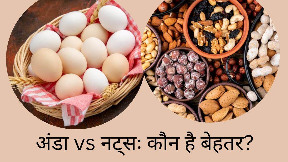 Egg vs Nuts: नट्स या अंडे, जानें आपके ब्रेकफास्ट के लिए कौन है हेल्दी ऑप्शन - Egg vs Nuts know ...