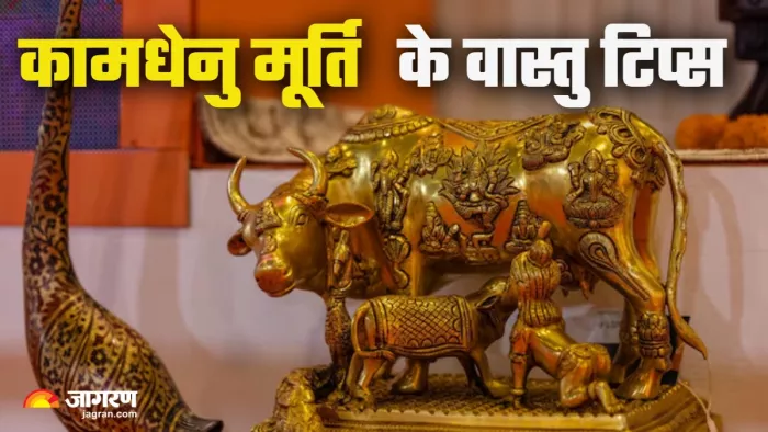 Kamdhenu Vastu Tips: घर में कामधेनु की मूर्ति रखने से मिलते हैं कई लाभ ...